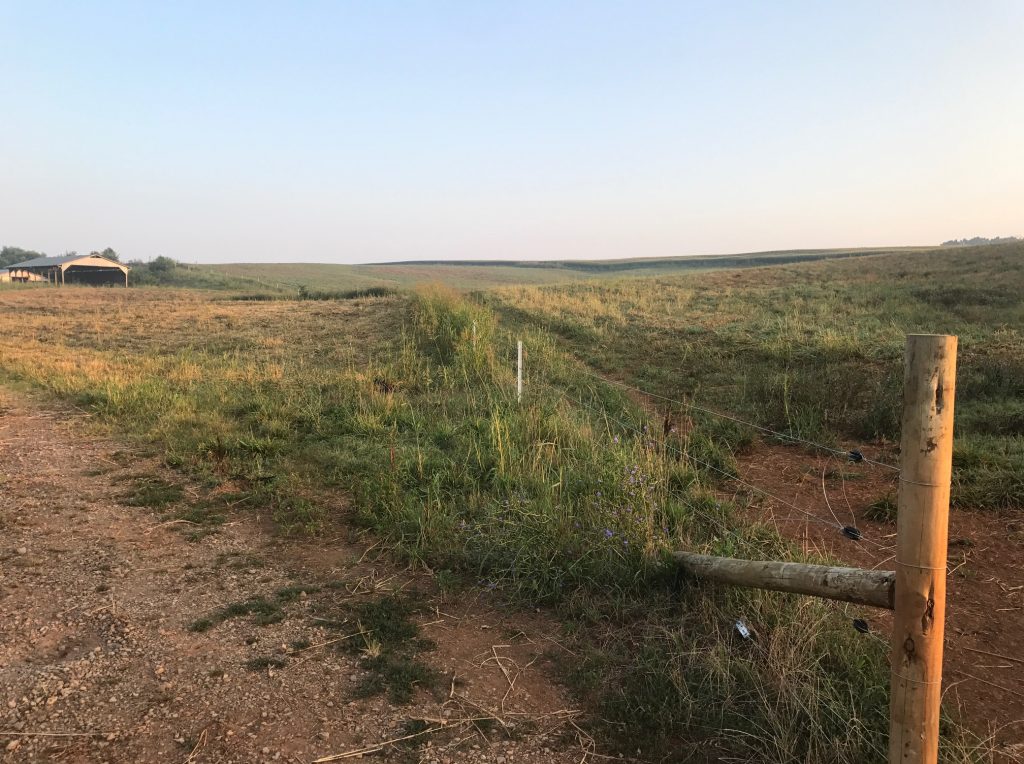 Opportunities for Rural Small Businesses: USDA Rural Energy