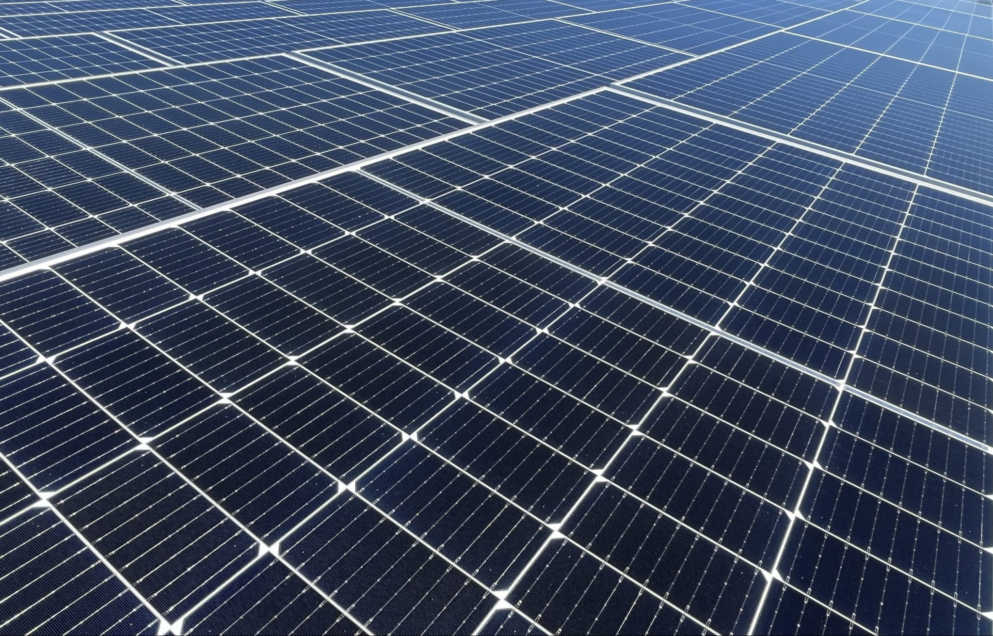 Meet Your Corporate Sustainability Goals | Solar Alliance